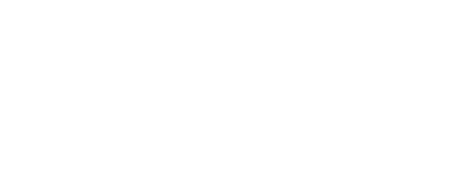 PVP - Primavera Venture Partners