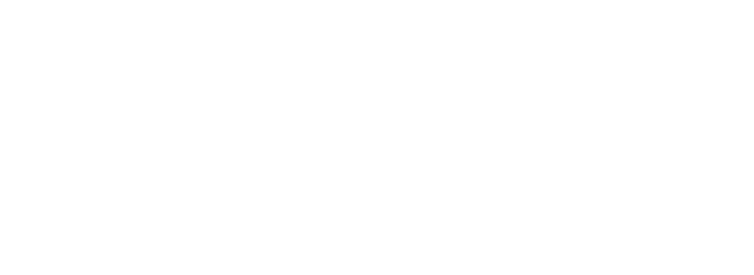 PVP - Primavera Venture Partners